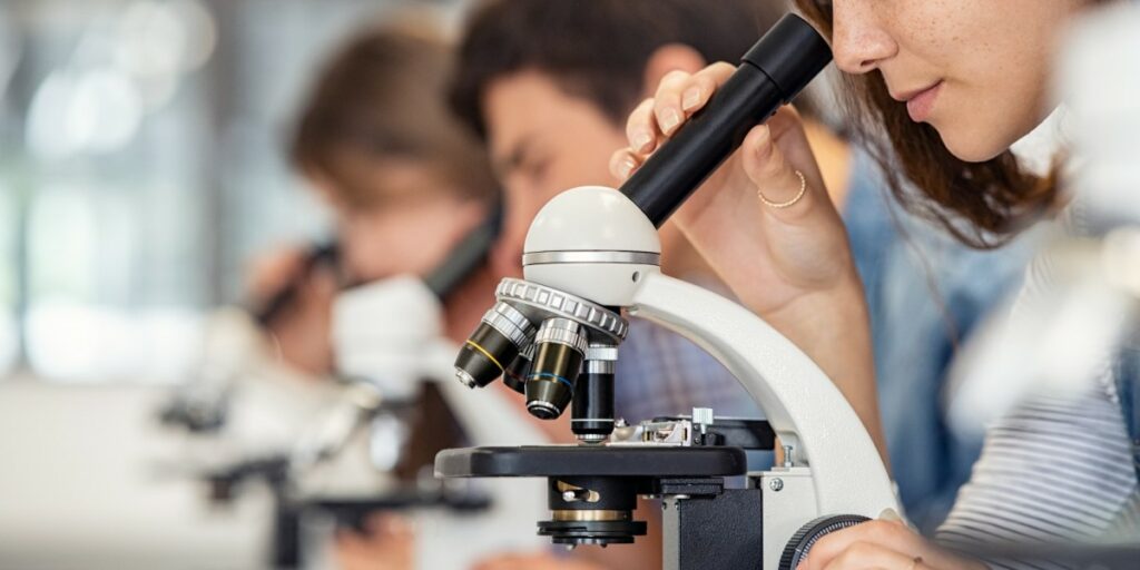 Classement & Guide D'achat: Top Microscopes En Nov. 2024